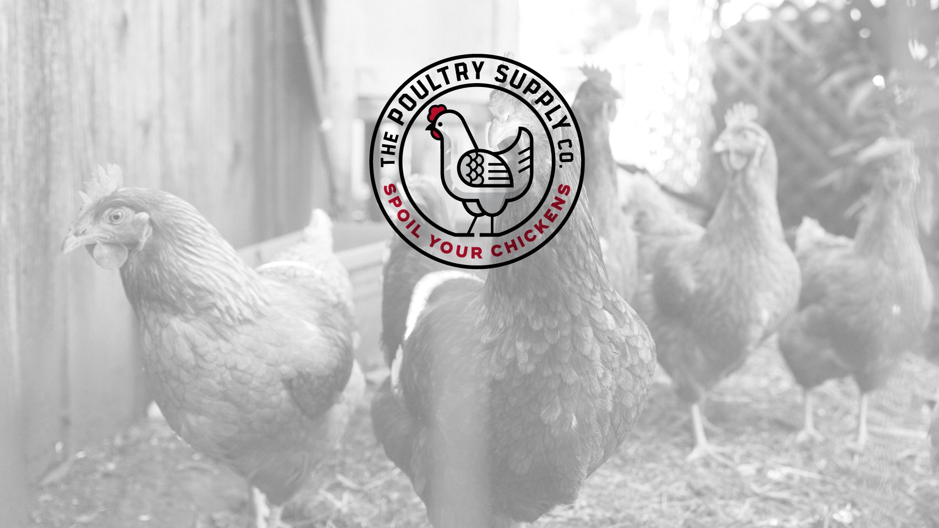 The Poultry Supply Co.